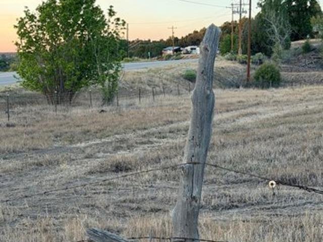 9473 Road 42, Mancos, CO 81328