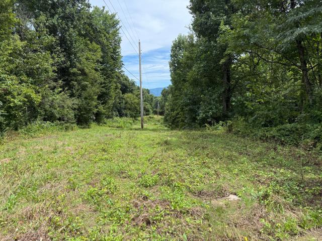 947 999 Yellow Springs Road