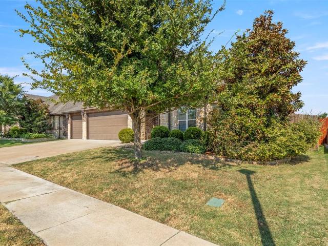 947 Mangrove Drive