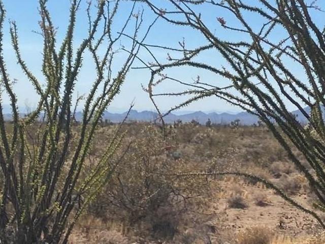 947 S Gene Autry, Yucca, AZ 86438 MLS 003276