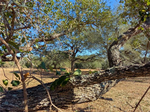 9487 Bauer Road