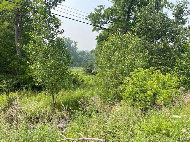 9488 # Rt90 # Genoa, NY 13071