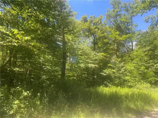 948 ASPEN MT. ROAD, JENNERSTOWN, PA 15547 Farm For Sale MLS#.