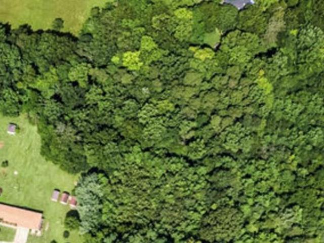 948 Totten Rd, Gibsonville, NC 27249 | MLS #1188 | Compass
