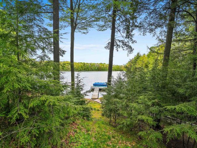 9494 n kelly lake road