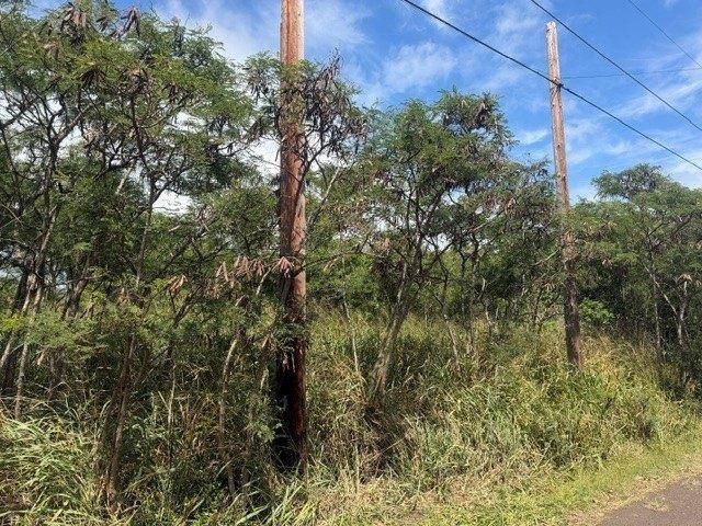 94 6285 Mark Twain St, Naalehu, HI 96772