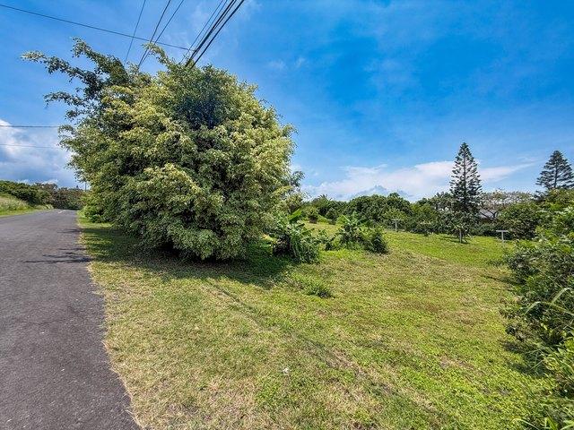 94 1381 Kaulua Cir, Naalehu, HI 96772