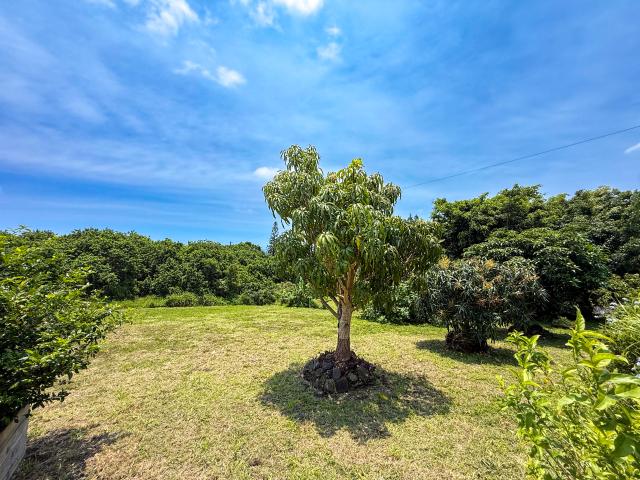 94 1381 Kaulua Cir, Naalehu, HI 96772 | MLS #729912