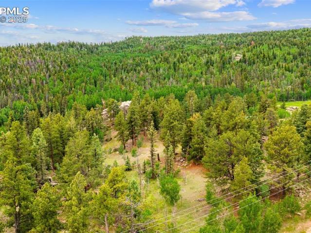 94 146 County Road 403, Florissant, CO 80816 | MLS #1977 | Compass