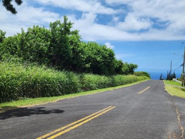 94 1674 Lewa Lani St, Naalehu, HI 96772
