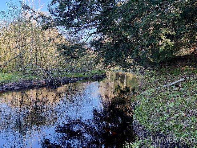 94 + Acres Peter White Road