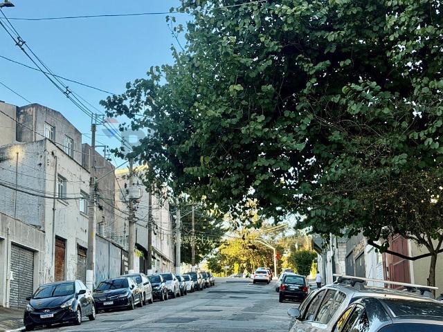 94 Área Útil Apartamento Alugar, 3 Dormitórios localizado em Rua Antonio Borba, 141, Vila Madalena, São Paulo, São Paulo, 05451 070 | Brasil