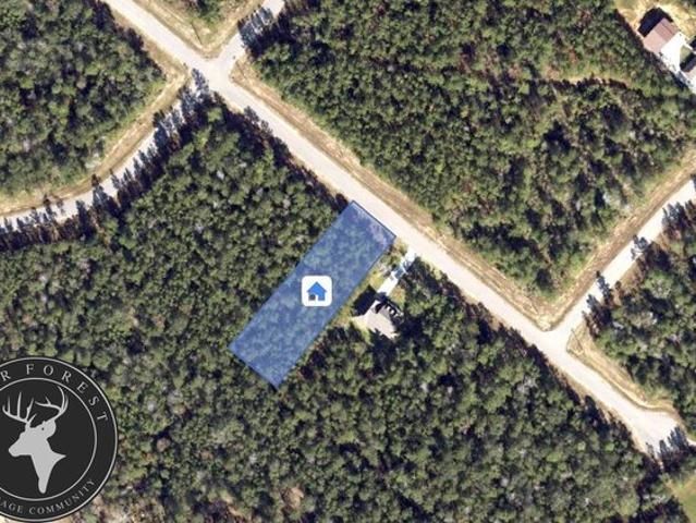 94 Coyote Run, Willis, TX 77378