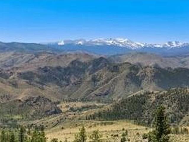 94 Culebra Peak Ct, Livermore, CO 80536