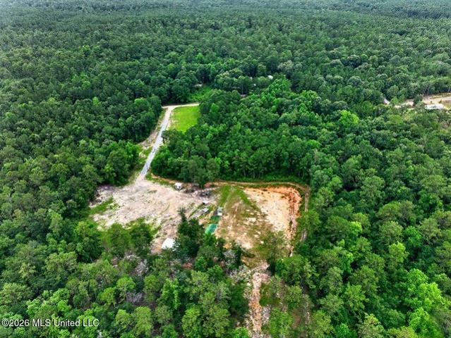 94 Desoto Rd, McHenry, MS 39561