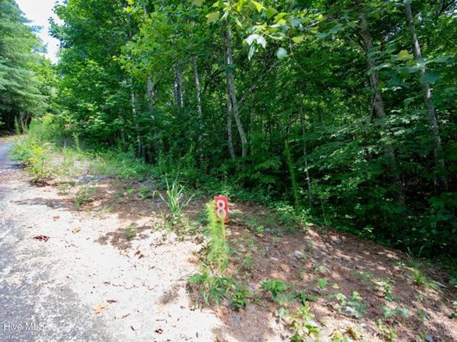 94 Desoto Trl Lot 8, Marble, NC 28905