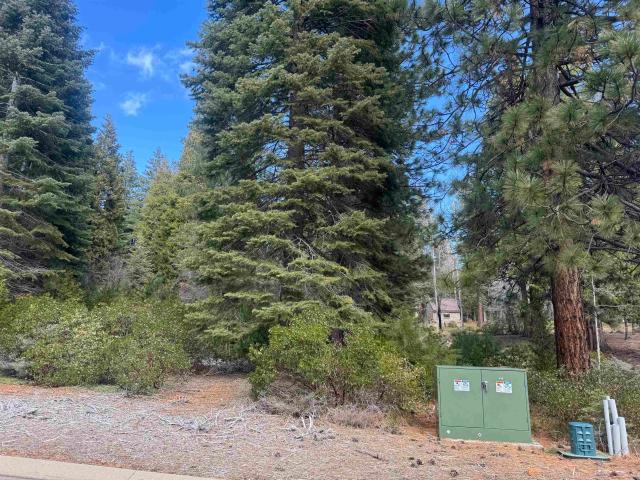 94 Fox Glen Dr, Lake Almanor, CA 96137 | MLS #2600