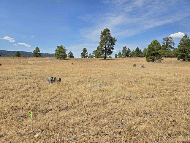 94 Greenway Dr, Pagosa Springs, CO 81147