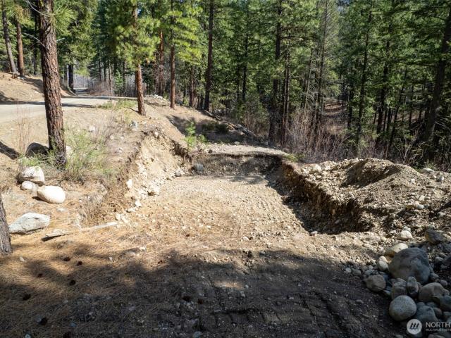 94 Homestead Rd, Winthrop, WA 98862 | MLS #2354