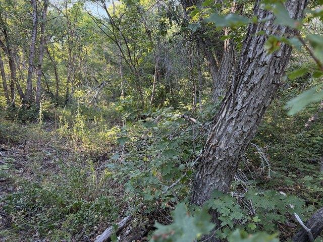 94 N Whittemore Dr E Unit 94, Springville, UT 84663