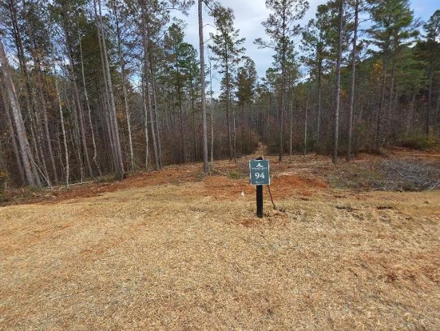 94 Springfield Pkwy, Ellijay, GA 30540 | MLS #10682