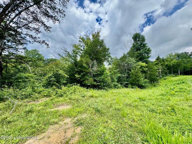 9501 5B Hwy 555