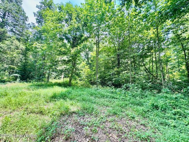 9501 5C Hwy 555