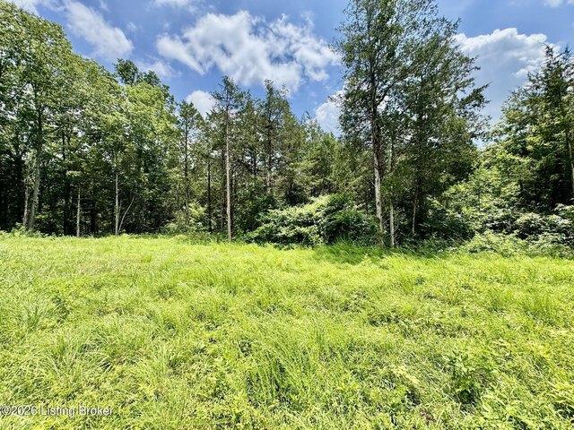 9501 5D Highway 555, Willisburg, KY 40078