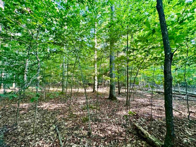 950 E Sullivan Woods