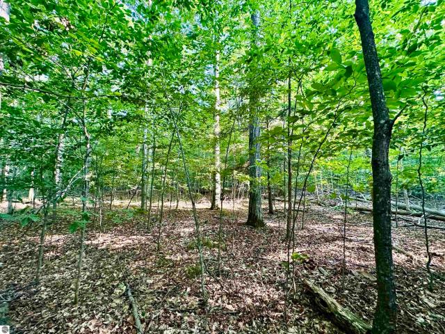 950 E Sullivan Woods