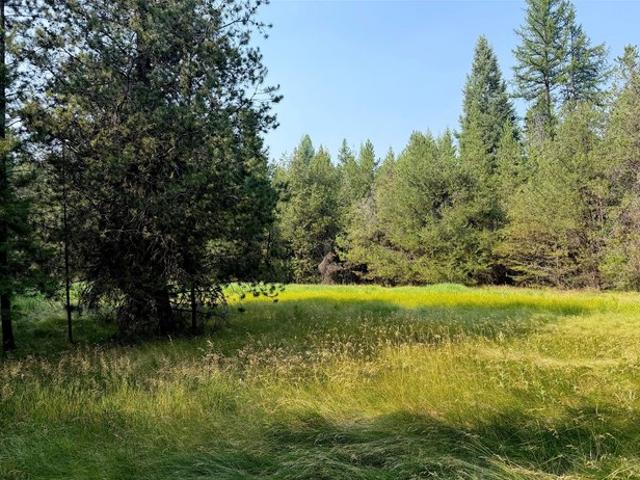 950 Lodgepole Dr, Marion, MT 59925