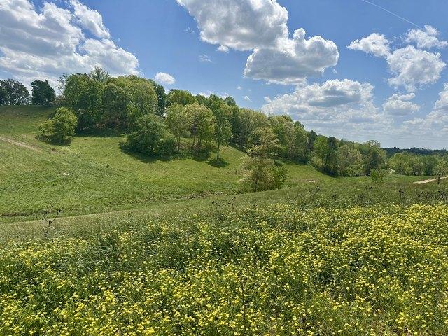 950 Pittsburg Lndg Unit TRACT28, London, KY 40741