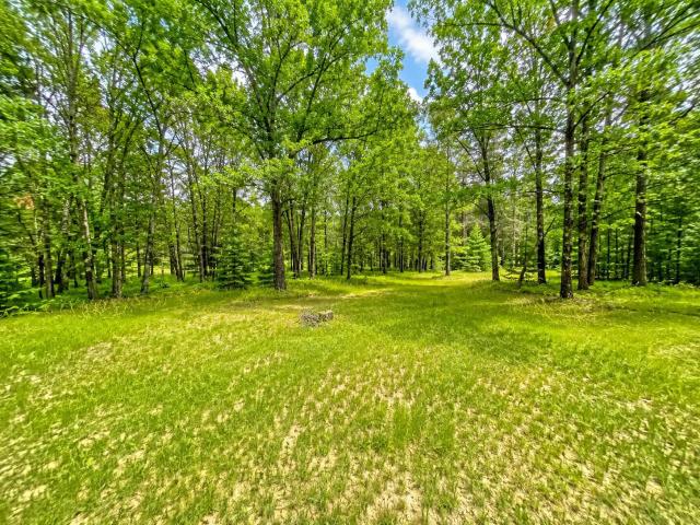 950 W Trout Valley Road