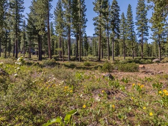 9517 Dunsmuir Way, Truckee, CA 96161