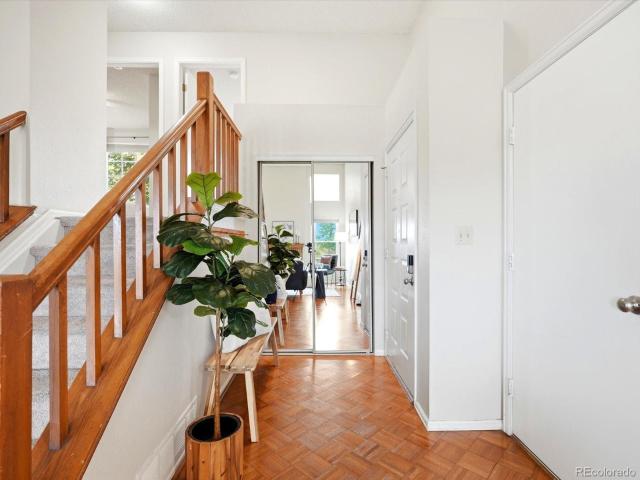 951 Conifer Court