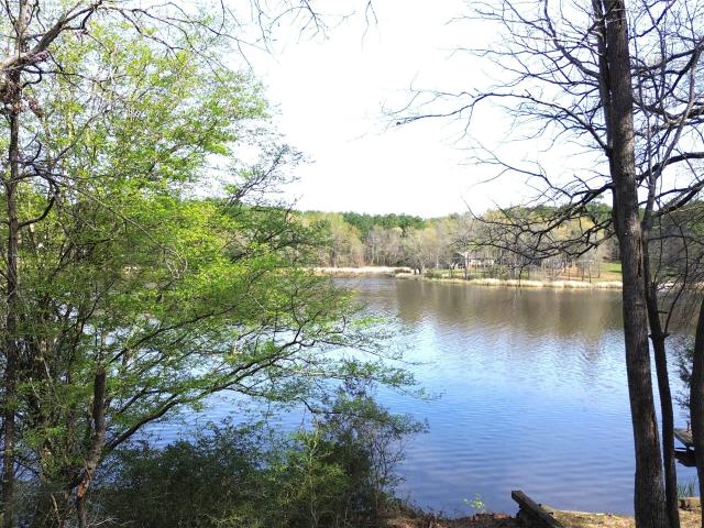 951 Pr 6050 Crockett, TX 75835 | MLS #98806