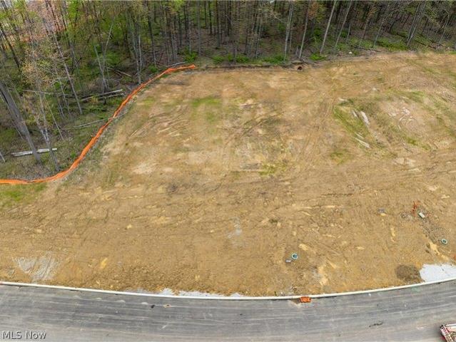 9524 River Birch Run, Brecksville, OH 44141