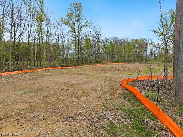 9528 River Birch Run