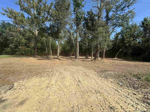 9528 Split Log Rd, Saint Amant, LA 70774