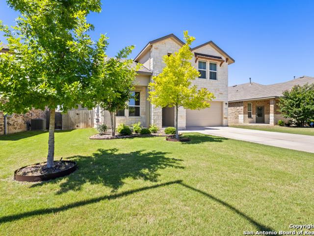 9539 Bicknell Sedge