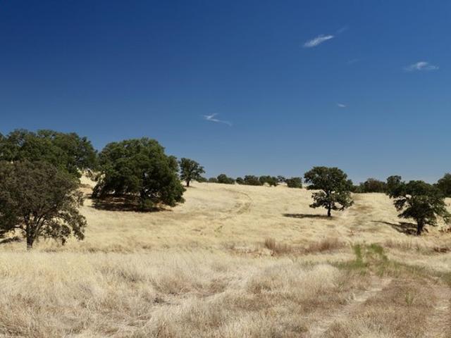 9539 Don Pedro Rd, La Grange, CA 95329