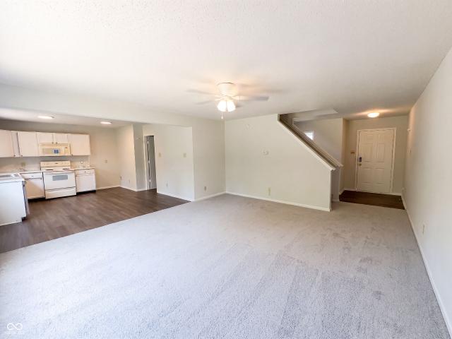 953 Balto Drive