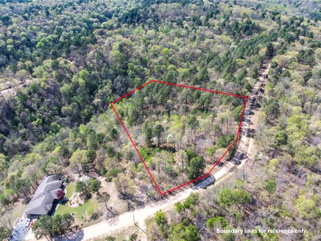 953 Pine Tree Road