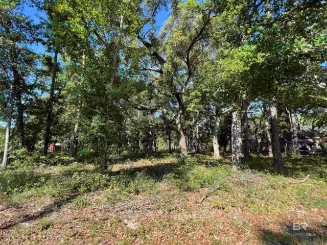 9545 N BAYOU RD, LILLIAN, AL 36549 Single Family Residence For.