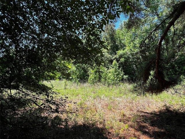 9546 County Road 112, Centerville, TX 75833