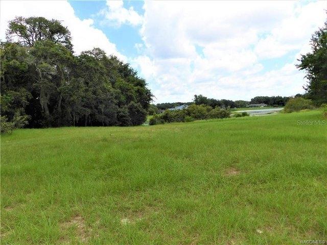 9546 E Baymeadows Dr, Inverness, FL 34450