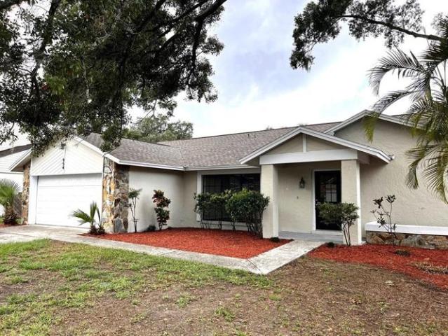 954 Benninger Dr, Brandon, FL 33510