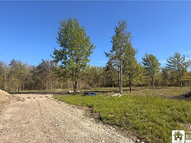 9556 Stone Road