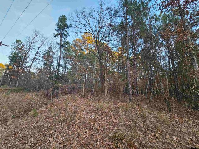 9557 Farm to Market 726, Gilmer, TX 75645 | MLS #26001