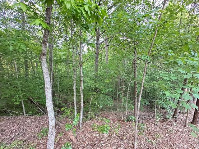 9550 Grande Dr, Winston, GA 30187 | MLS #7761